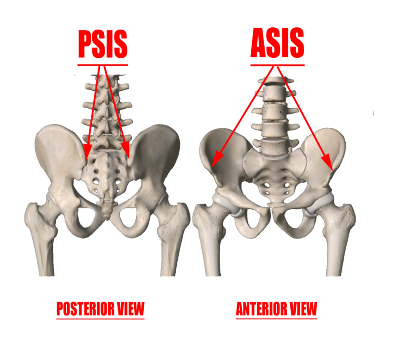 5 Simple Tests to See If Your Body Is out of Alignment - React Physical ...