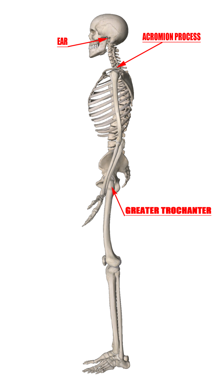 5 Simple Tests to See If Your Body Is out of Alignment - React Physical ...