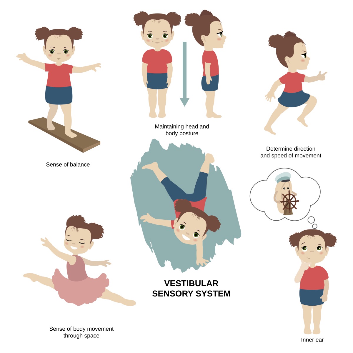 What Is Vestibular React Physical Therapy Imd369